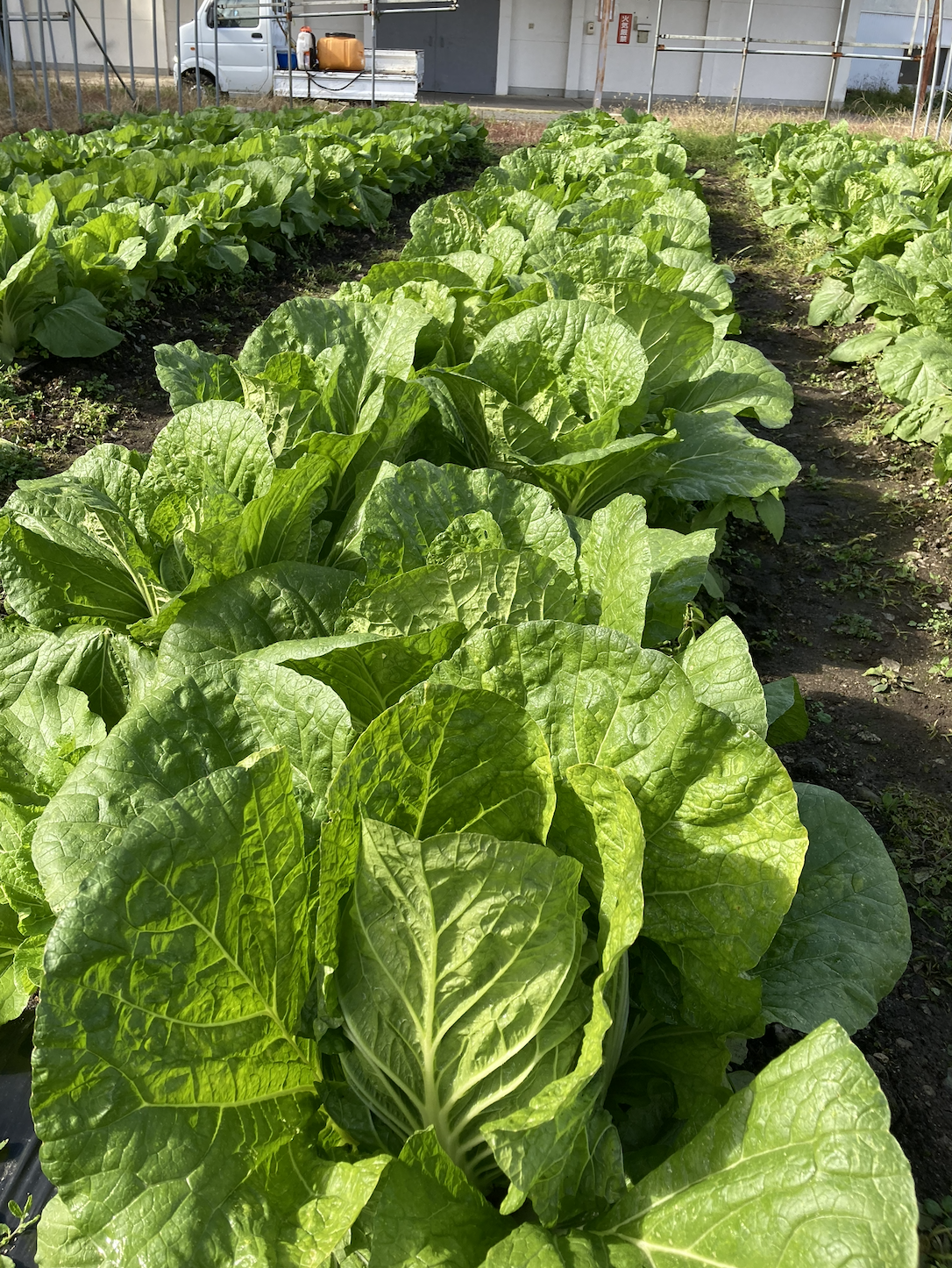 スクリーンショット 2026-01-15 15.07.48 | COCO真庭～COCOMANIWA～