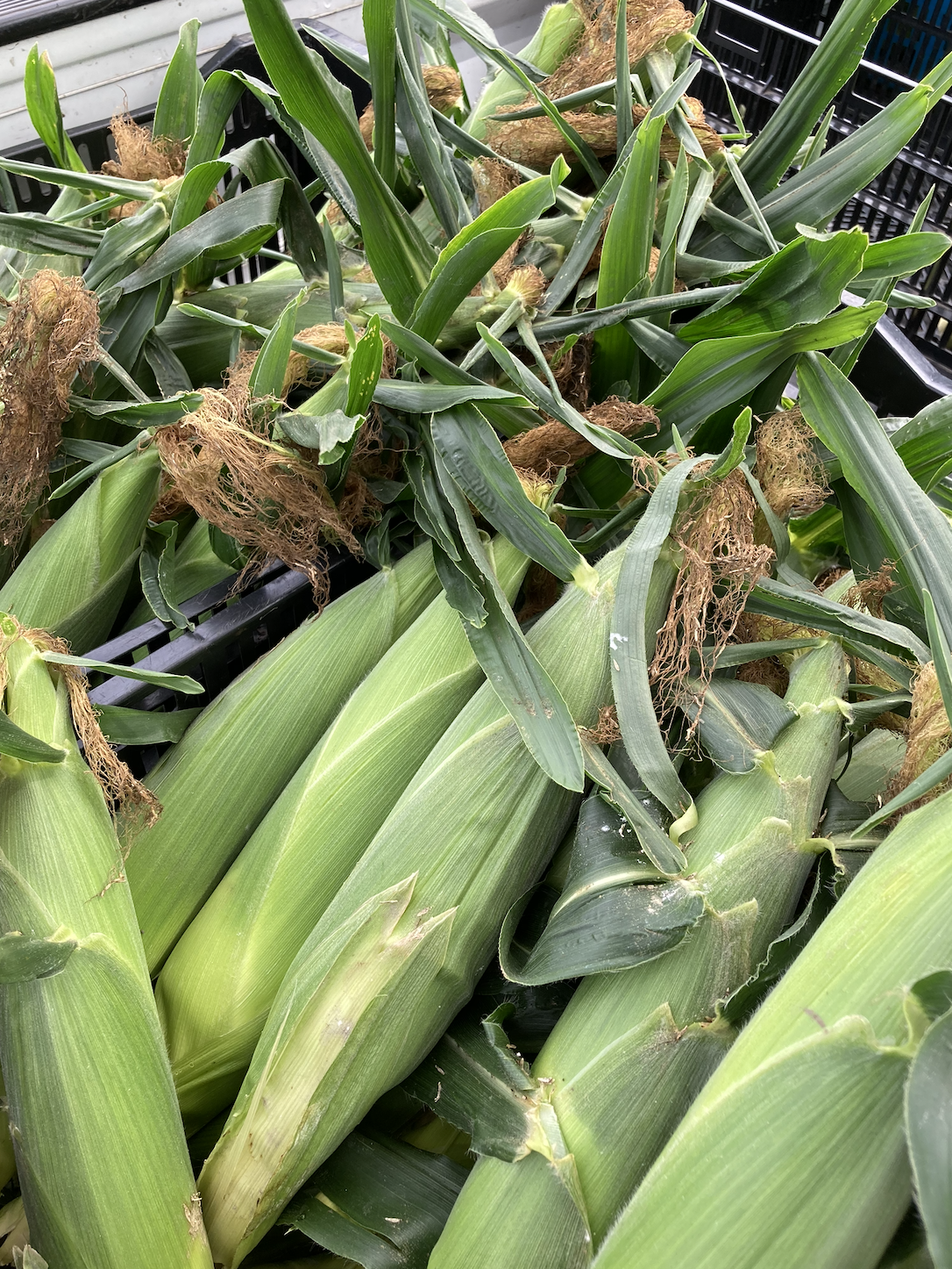 スクリーンショット 2026-01-15 15.07.29 | COCO真庭～COCOMANIWA～